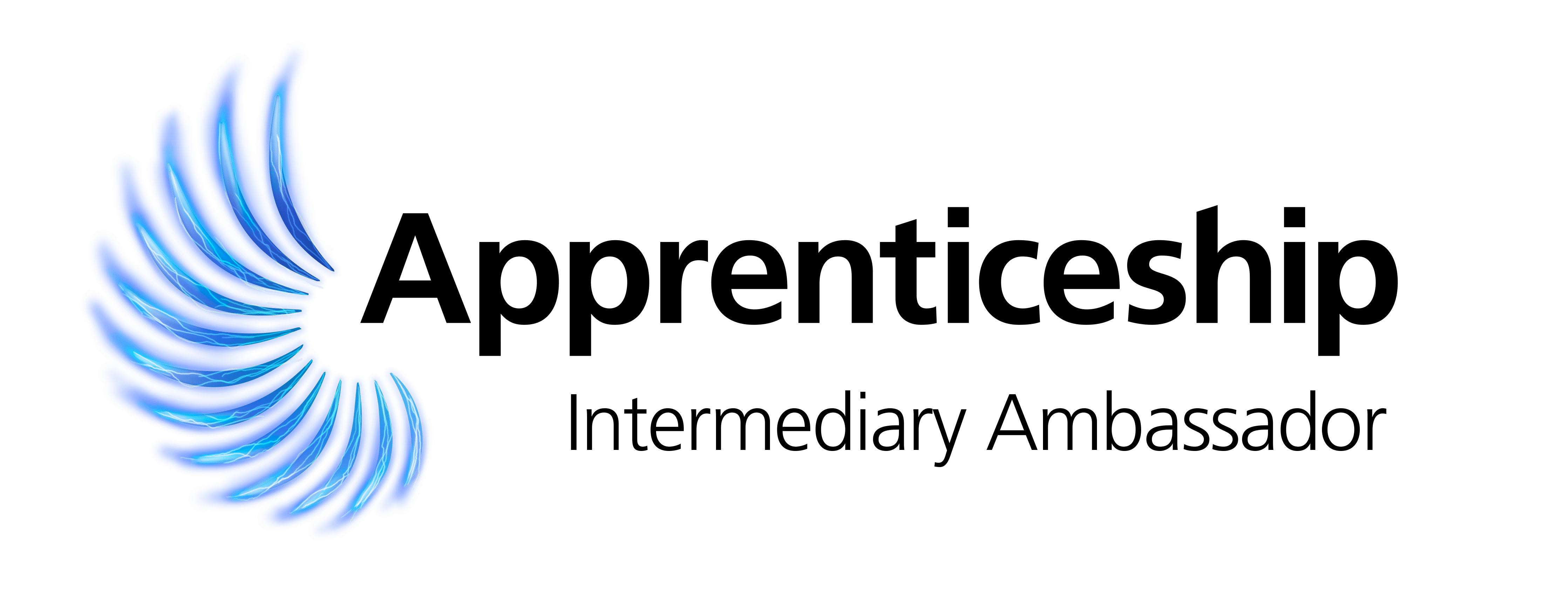 T-Level Intermediary Ambassador - request for help - Careers in Aerospace