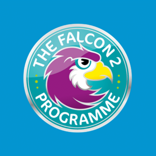 Falcon 2 needs a secondee, could it be you? - Careers in Aerospace